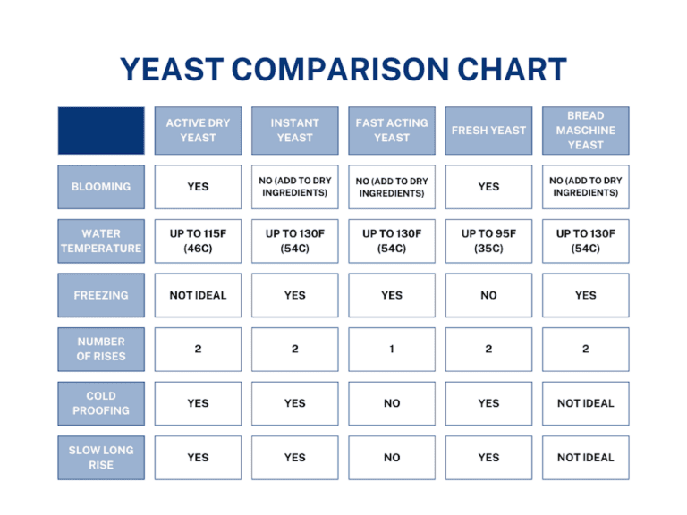 Types of yeast and how to use them in baking - Sugar Pursuit