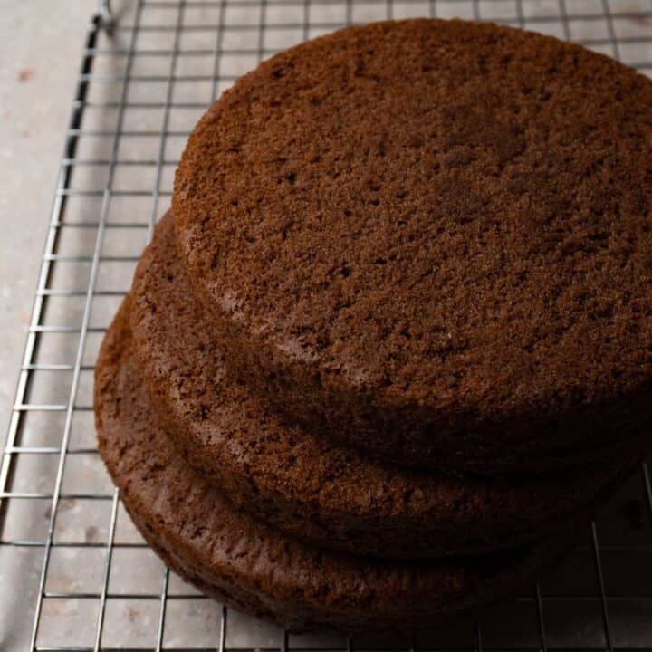 Chocolate sponge cake - Sugar Pursuit